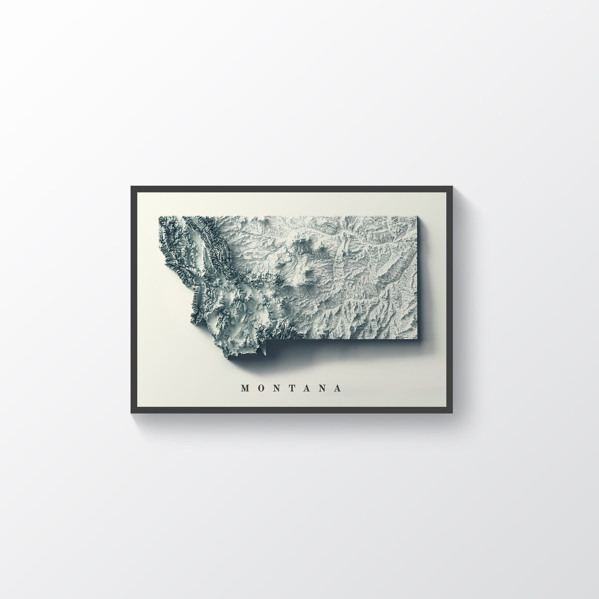 Montana 2D Relief Map – Think About Maps